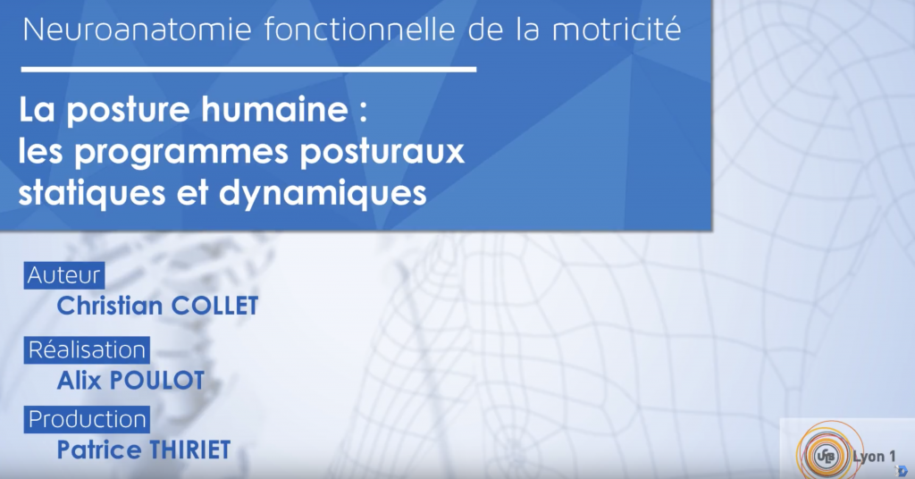 La posture humaine : les programmes posturaux statiques et dynamiques ...